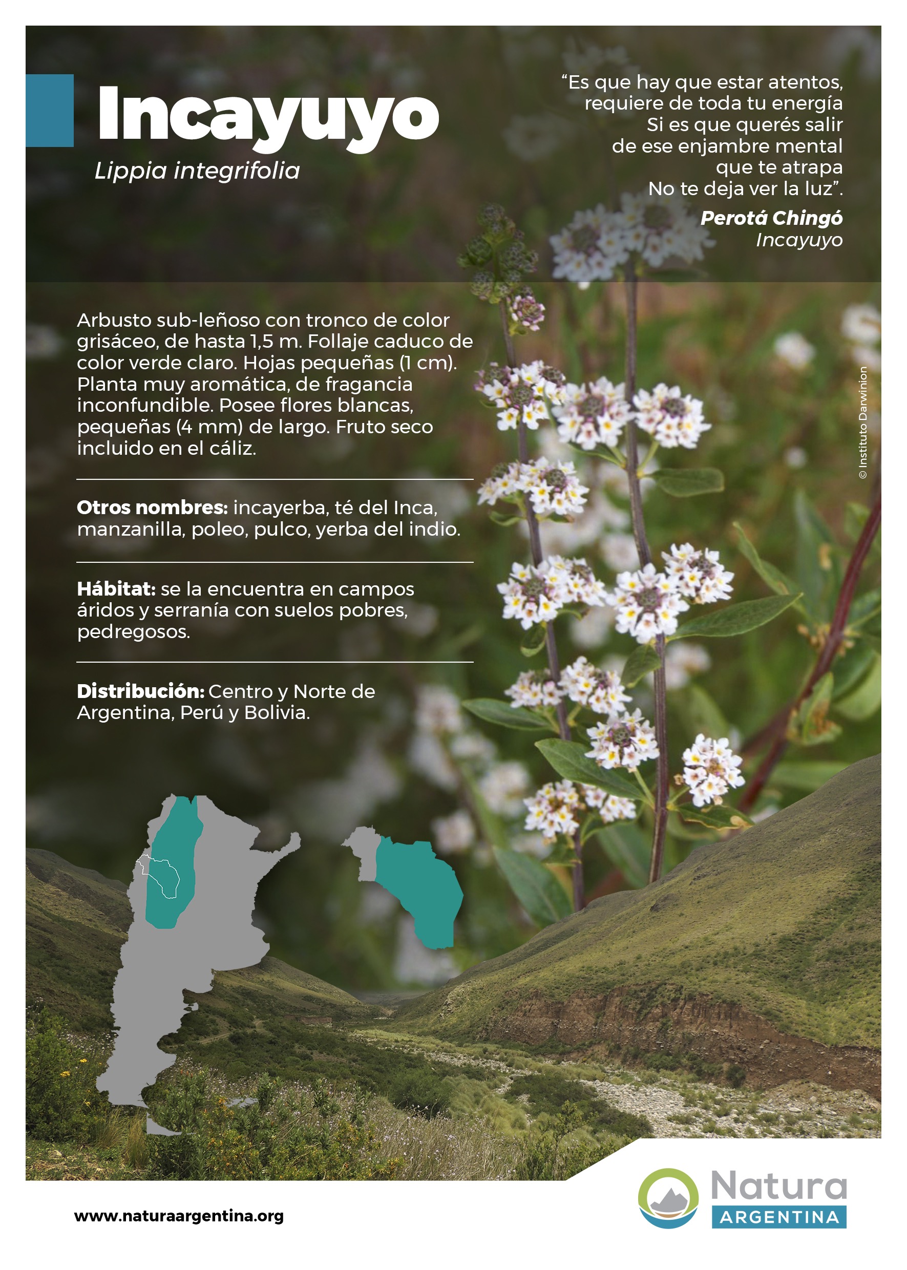 Material descargable - Natura Argentina